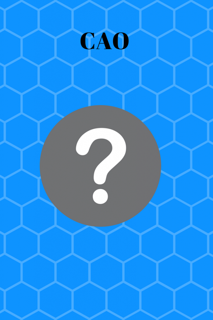 CAO QUESTIONS AND ANSWERS – Whitney Career Guidance